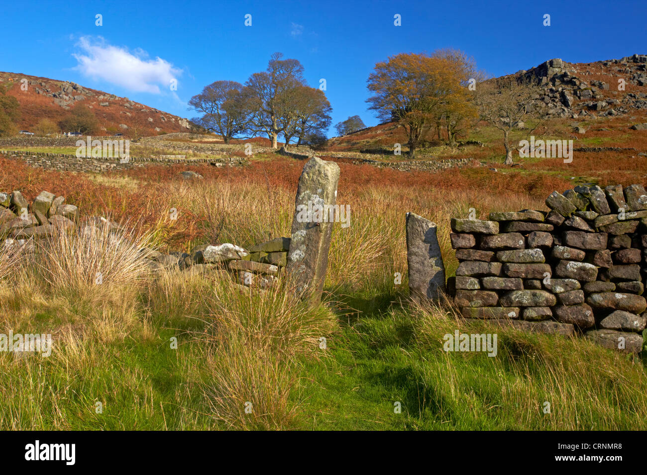 Path through drystone wall leading up to the gritstone escarpment of ...