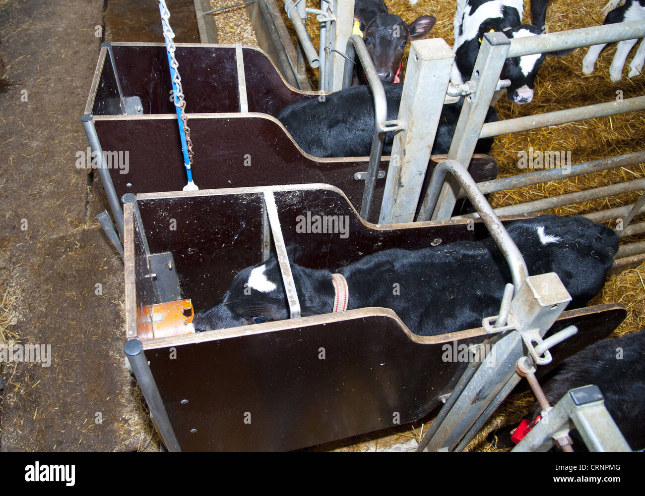 Automatic feeders hi-res stock photography and images - Alamy
