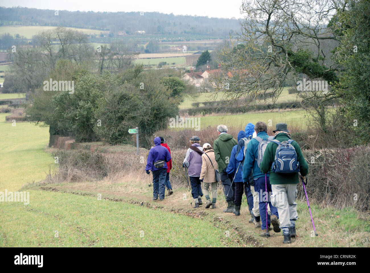Group of walkers, members of Chiltern Society, walking along footpath ...