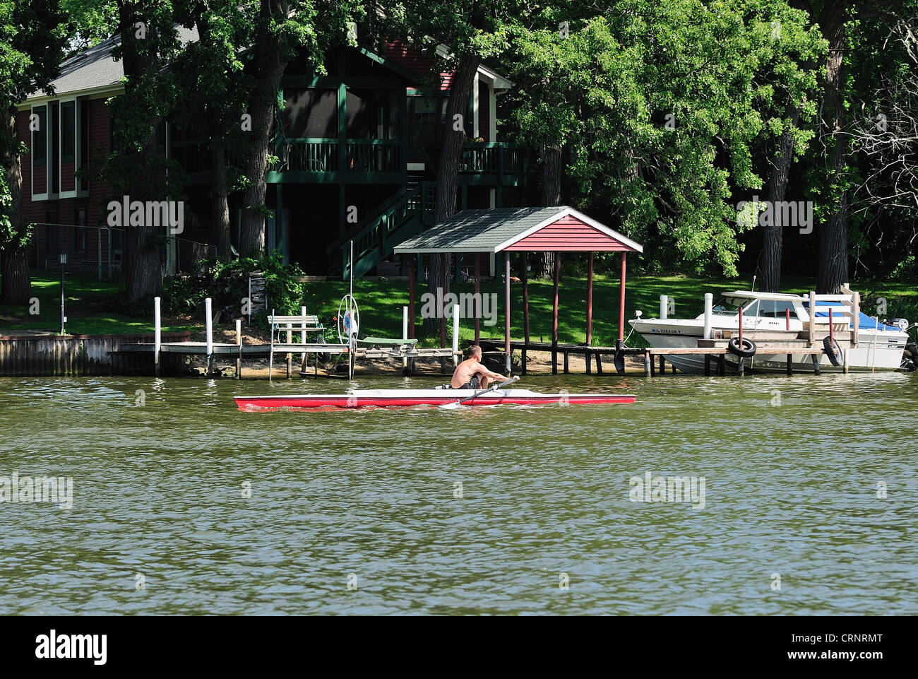 Man sculling (rowing) along shoreline on Illinois river Stock Photo - Alamy