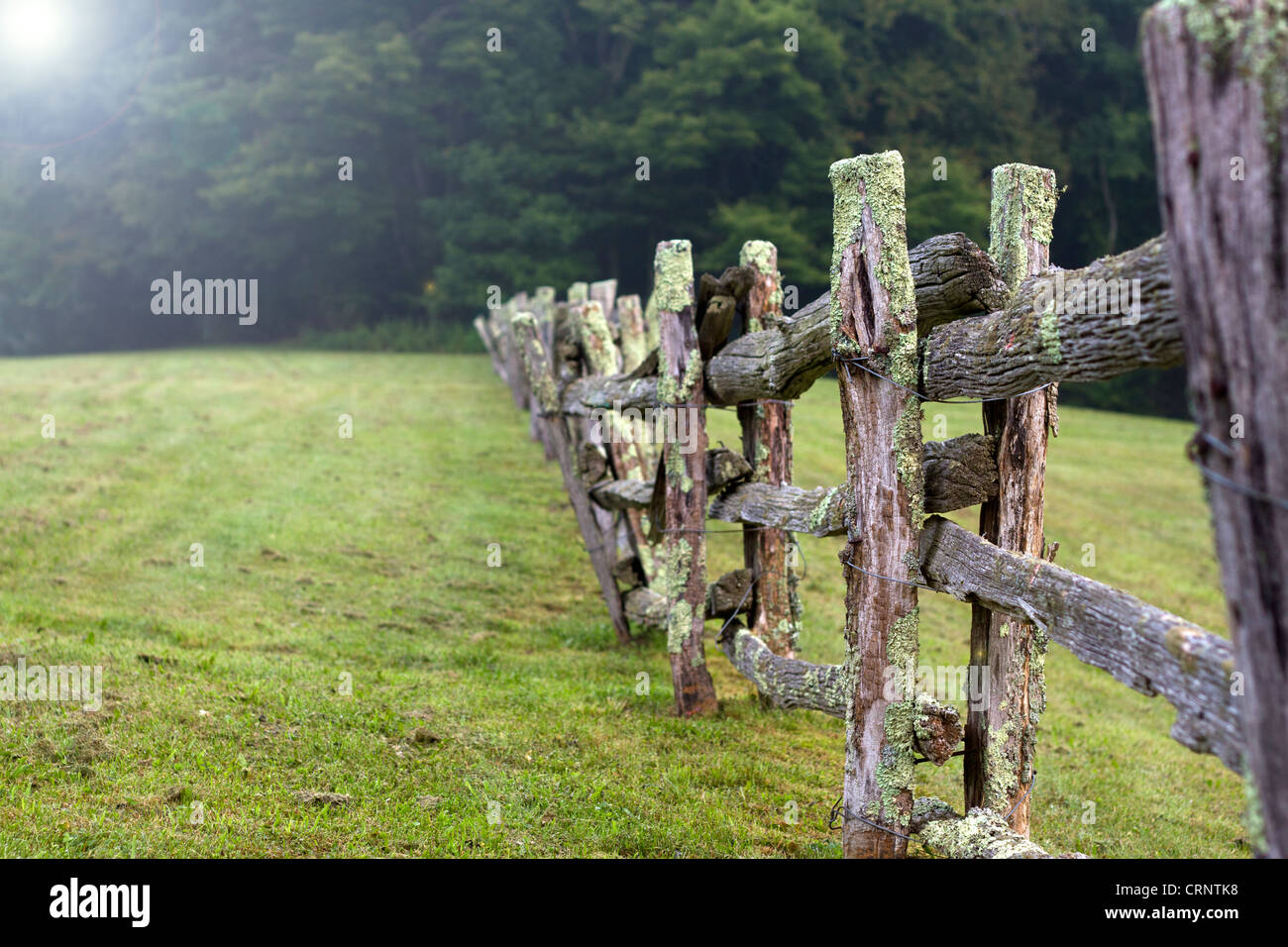 Rustic fence running through a field of green grass Stock Photo - Alamy