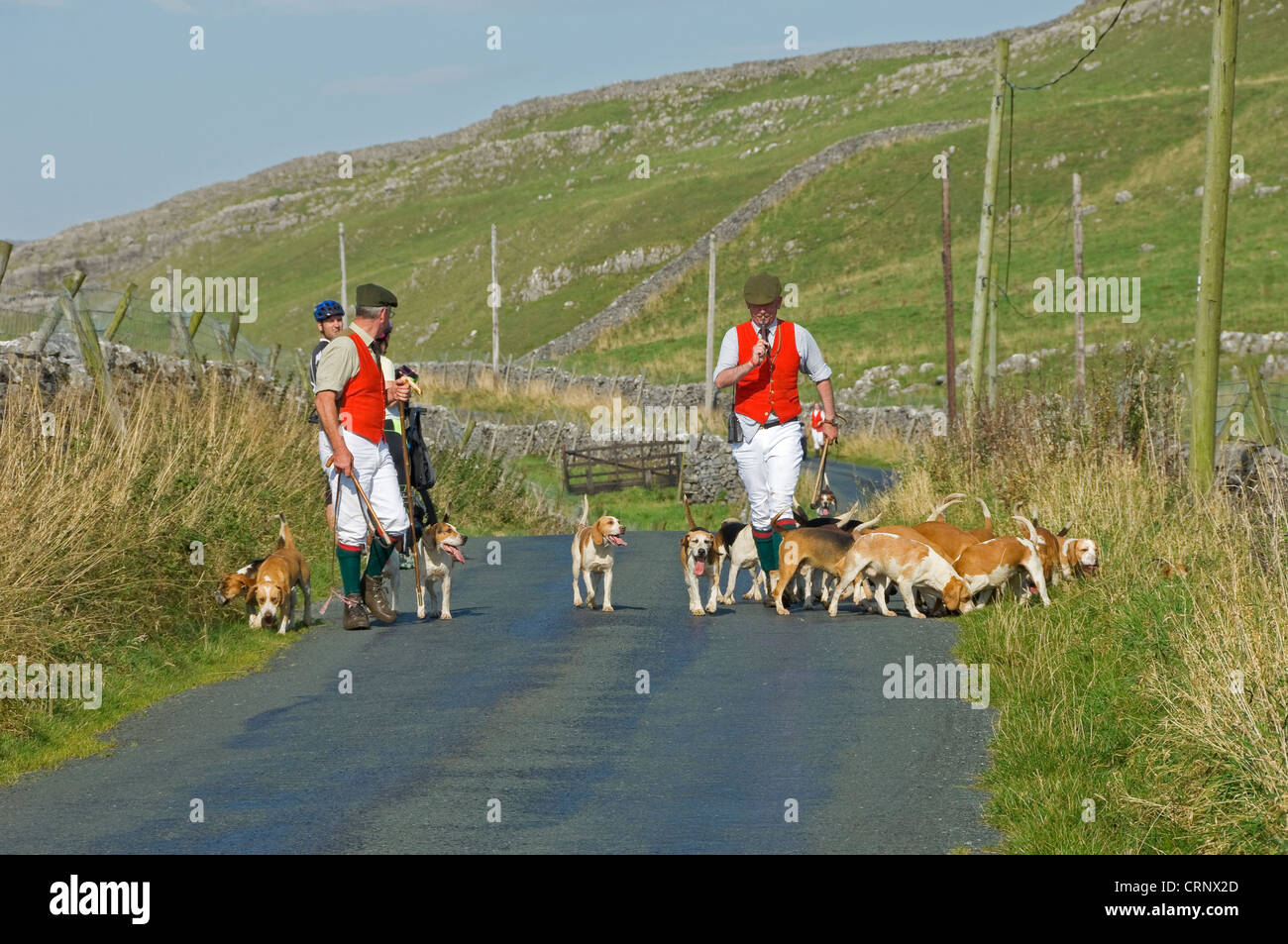 Hound trailing hi-res stock photography and images - Alamy