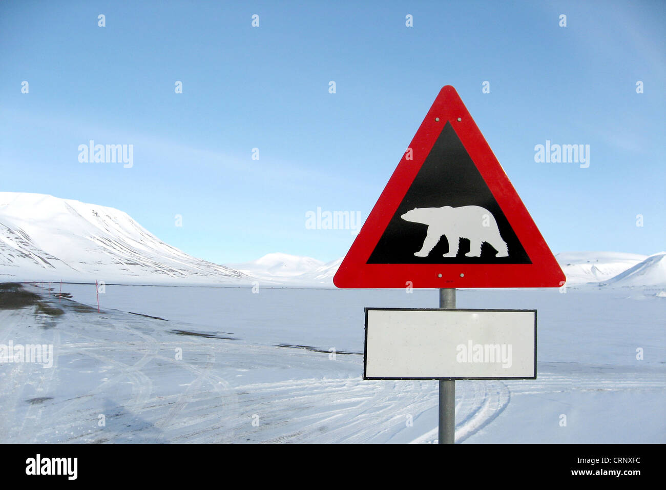 Icebears hi-res stock photography and images - Alamy
