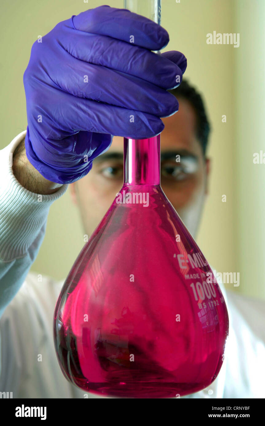 A laboratory technician wearing purple rubber gloves examines a pink ...