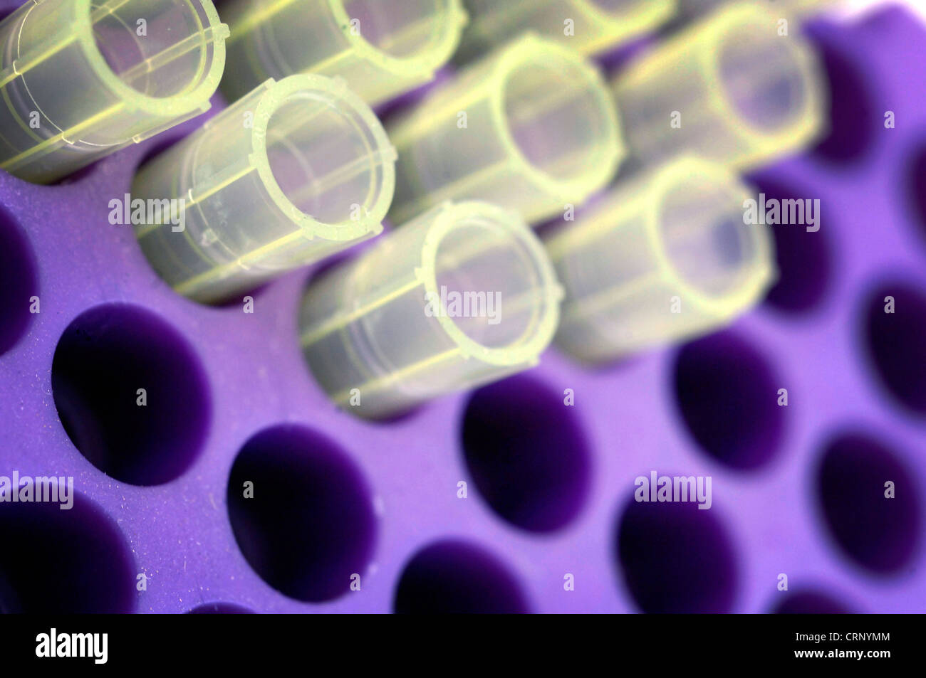 Plastic test tubes in a purple storage rack Stock Photo - Alamy