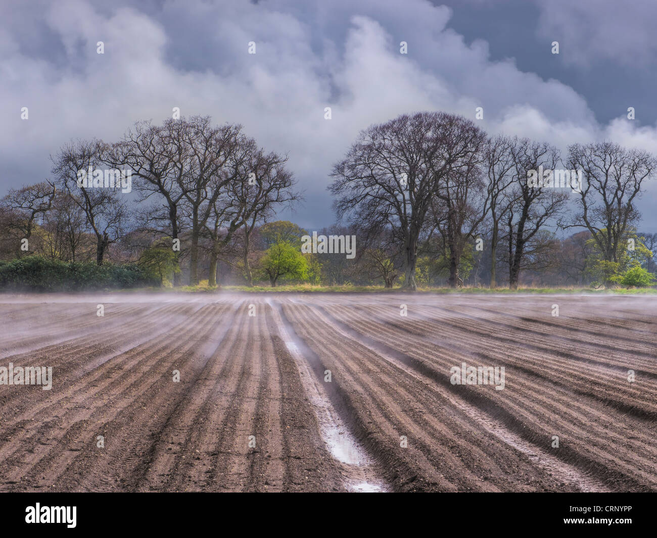 Plough ploughed hi-res stock photography and images - Alamy