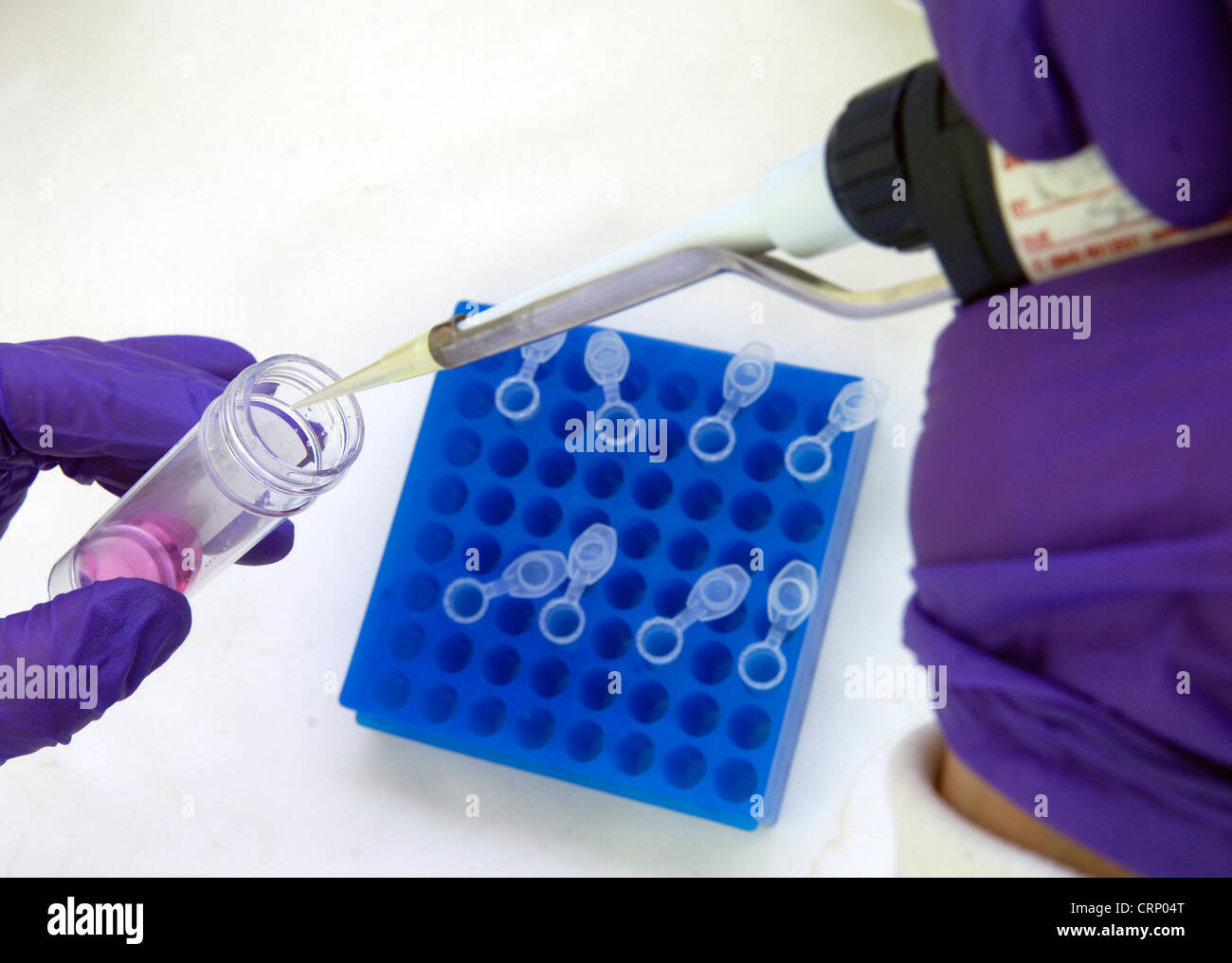 A laboratory technician pipetting a liquid solution into a glass ...