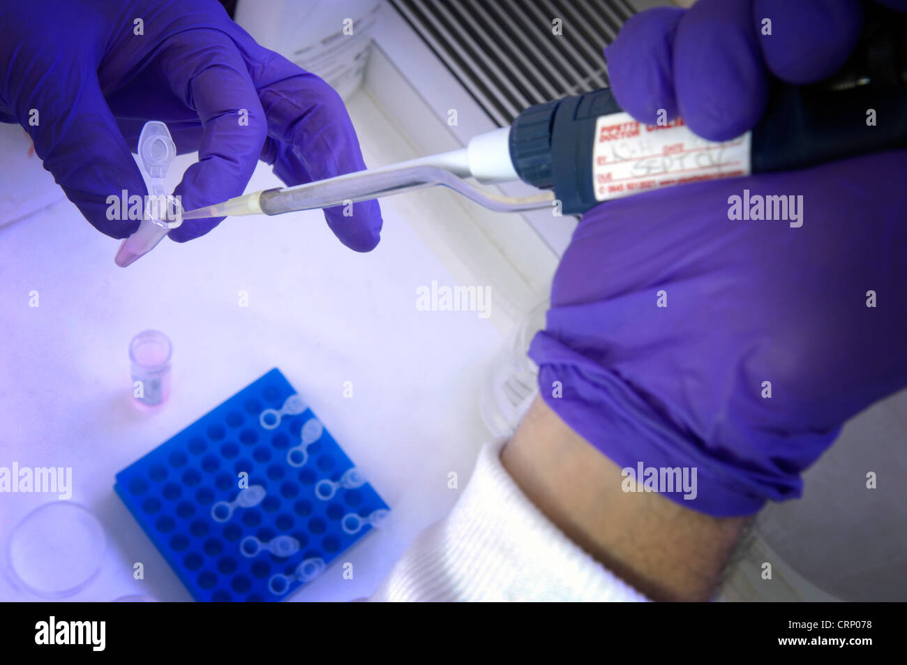 A laboratory technician pipetting a liquid solution into a glass ...