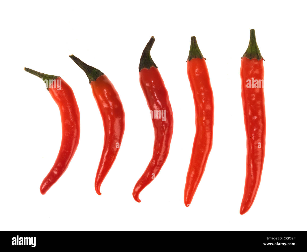 Healthy Fresh Ripe Hot Raw Red Chillies Cooking Or Food Ingredients ...