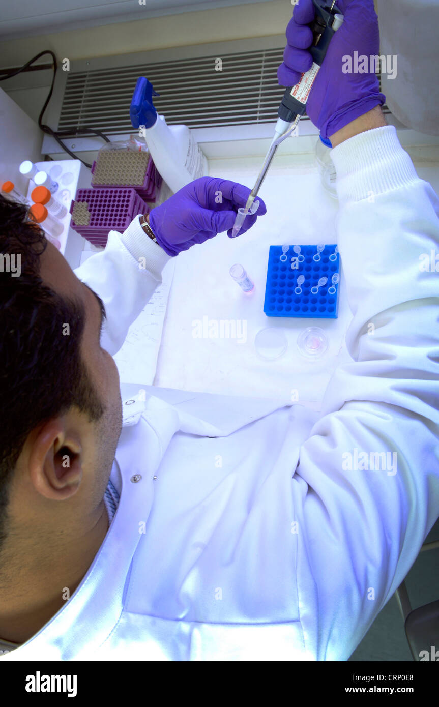 Pipetting solution technician liquid hi-res stock photography and ...