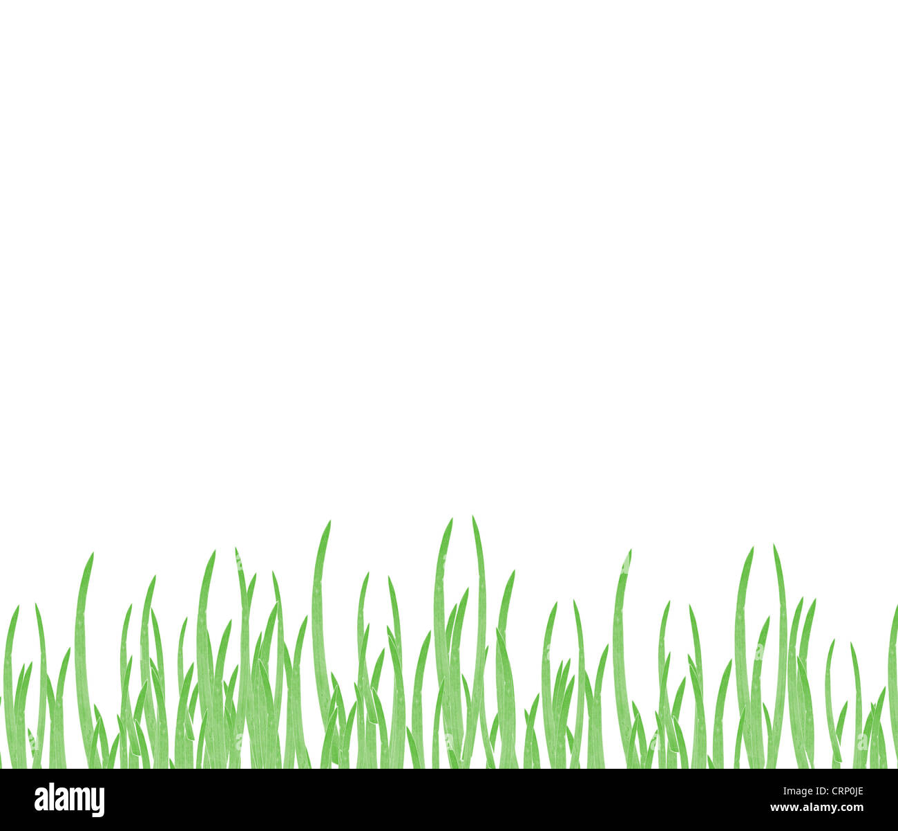 Grass isolated hi-res stock photography and images - Alamy