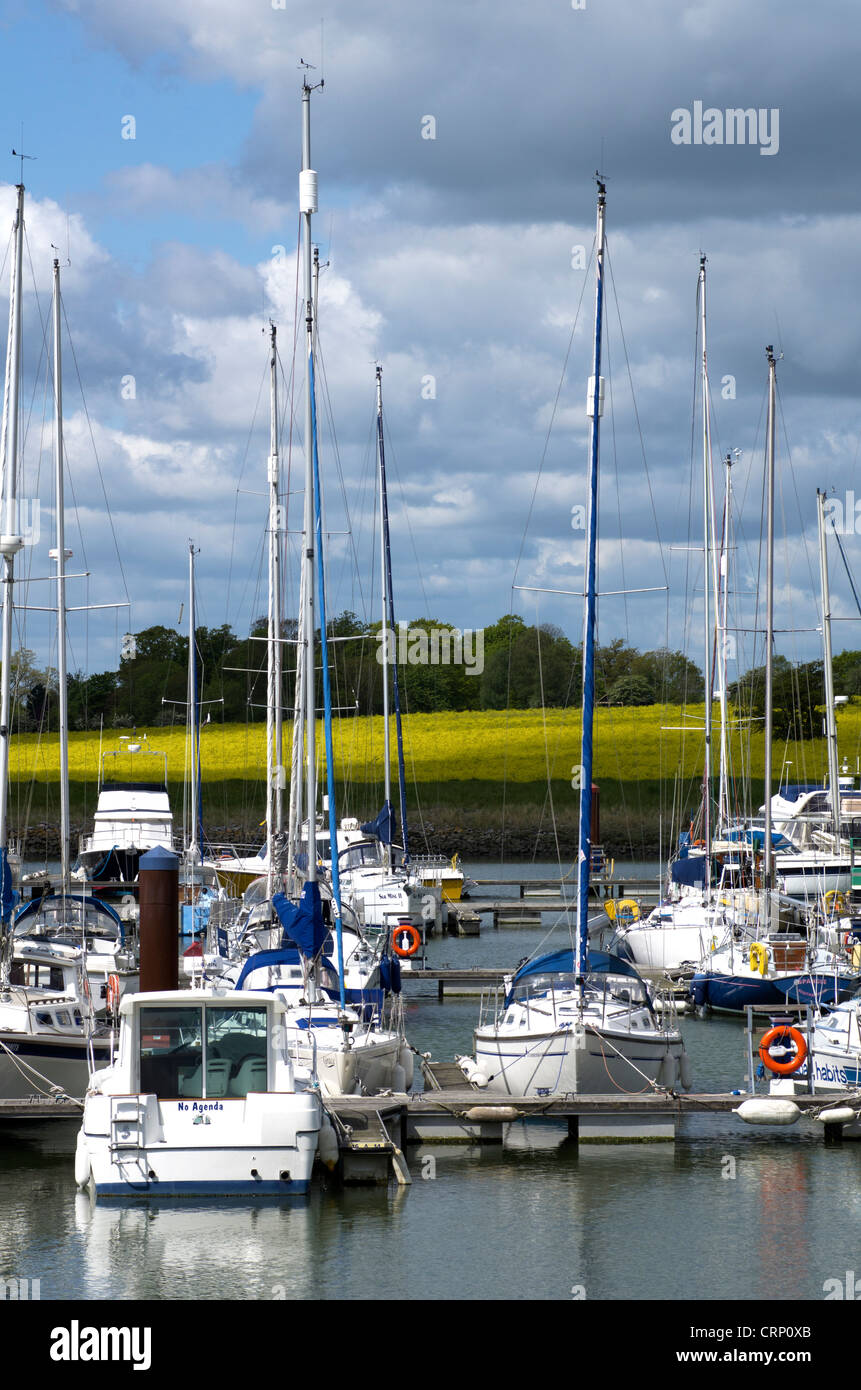 Burnham on Crouch Marina, Essex Stock Photo - Alamy