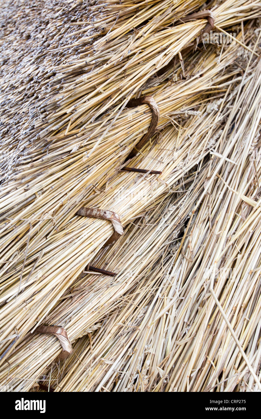 Thatch thatching material straw bundle hi-res stock photography and ...