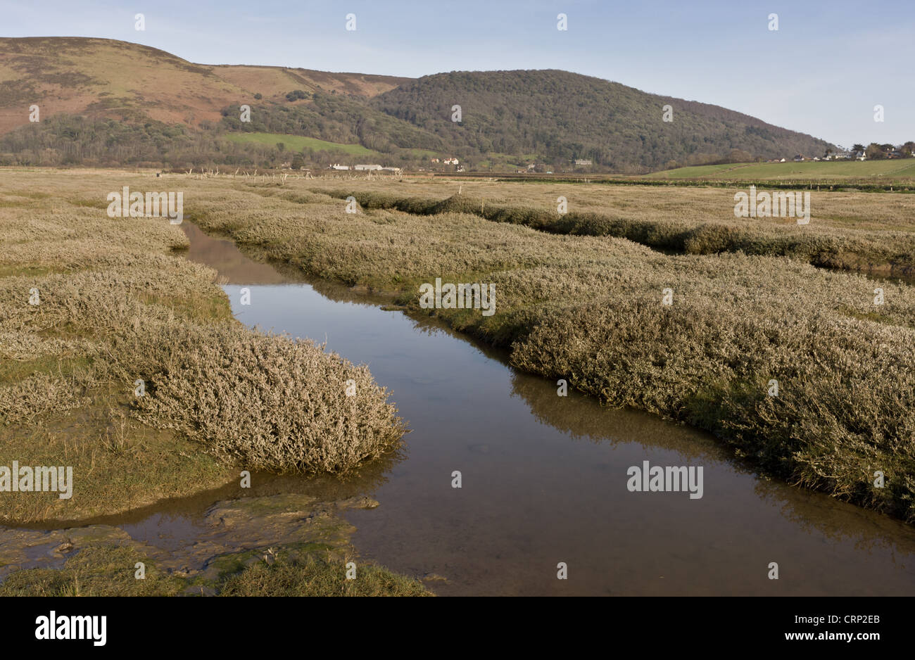 Porlock bay breach hi-res stock photography and images - Alamy