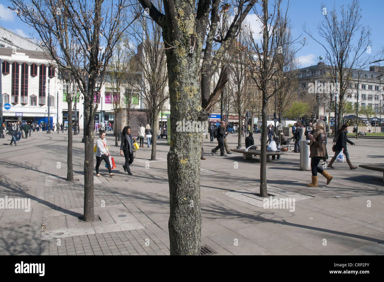 Trees in urban environment, Manchester City Centre, Greater Manchester ...