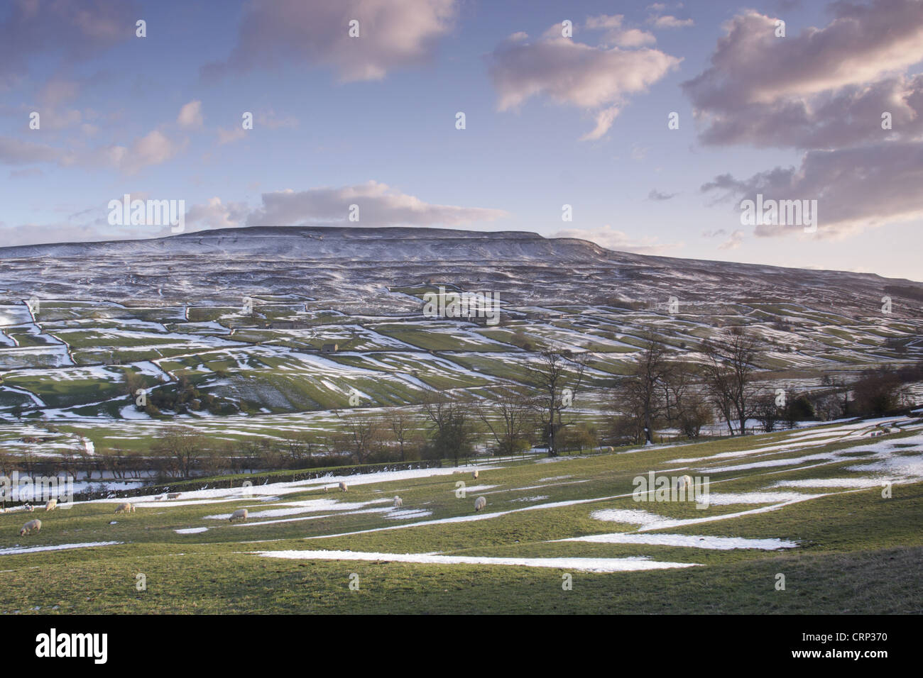 On hillside sheep river hi-res stock photography and images - Alamy