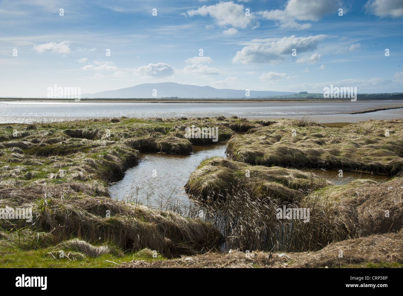 Ruthwell hi-res stock photography and images - Alamy