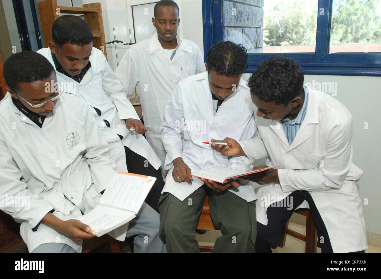 A class of young medical students Stock Photo - Alamy