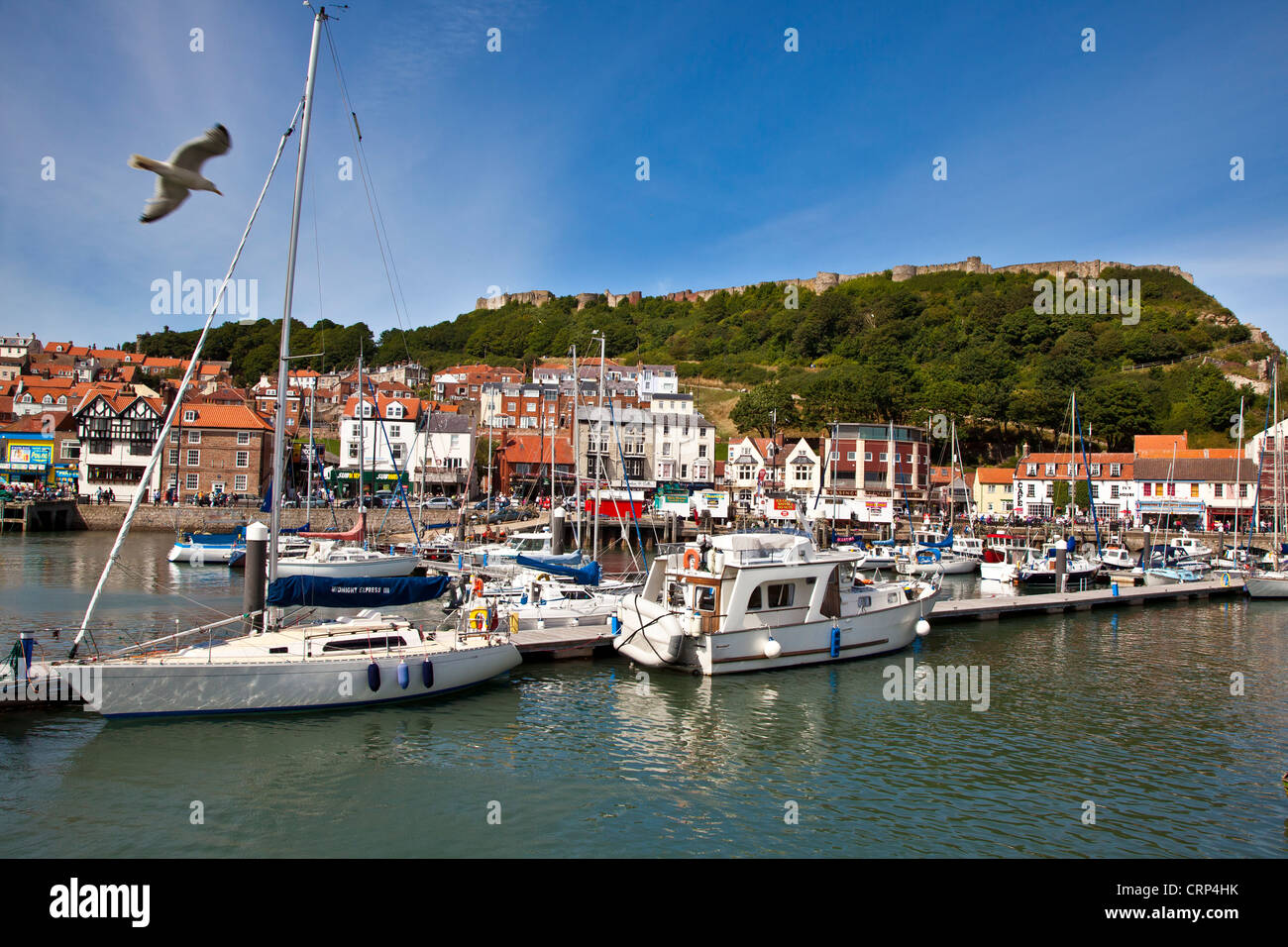Leisure vessels moored in the Outer Harbour at Scarborough Stock Photo ...