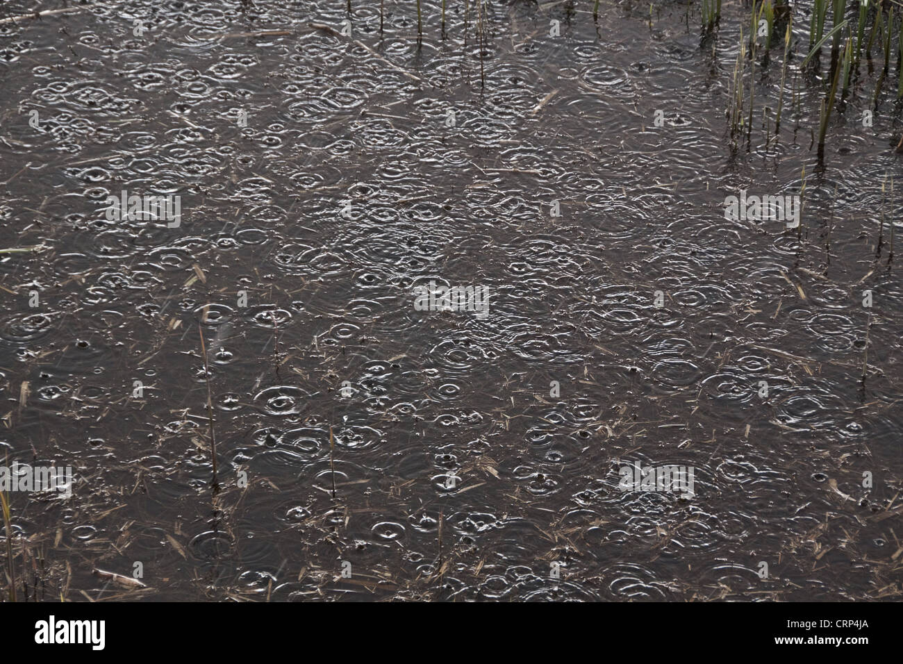 Deluge water hi-res stock photography and images - Alamy
