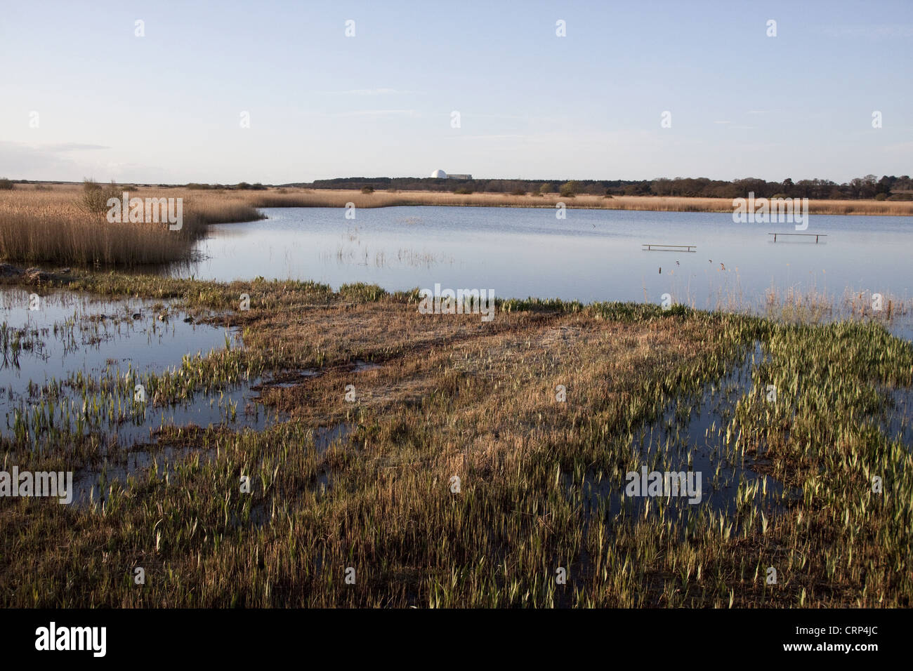 Island mere minsmere hi-res stock photography and images - Alamy