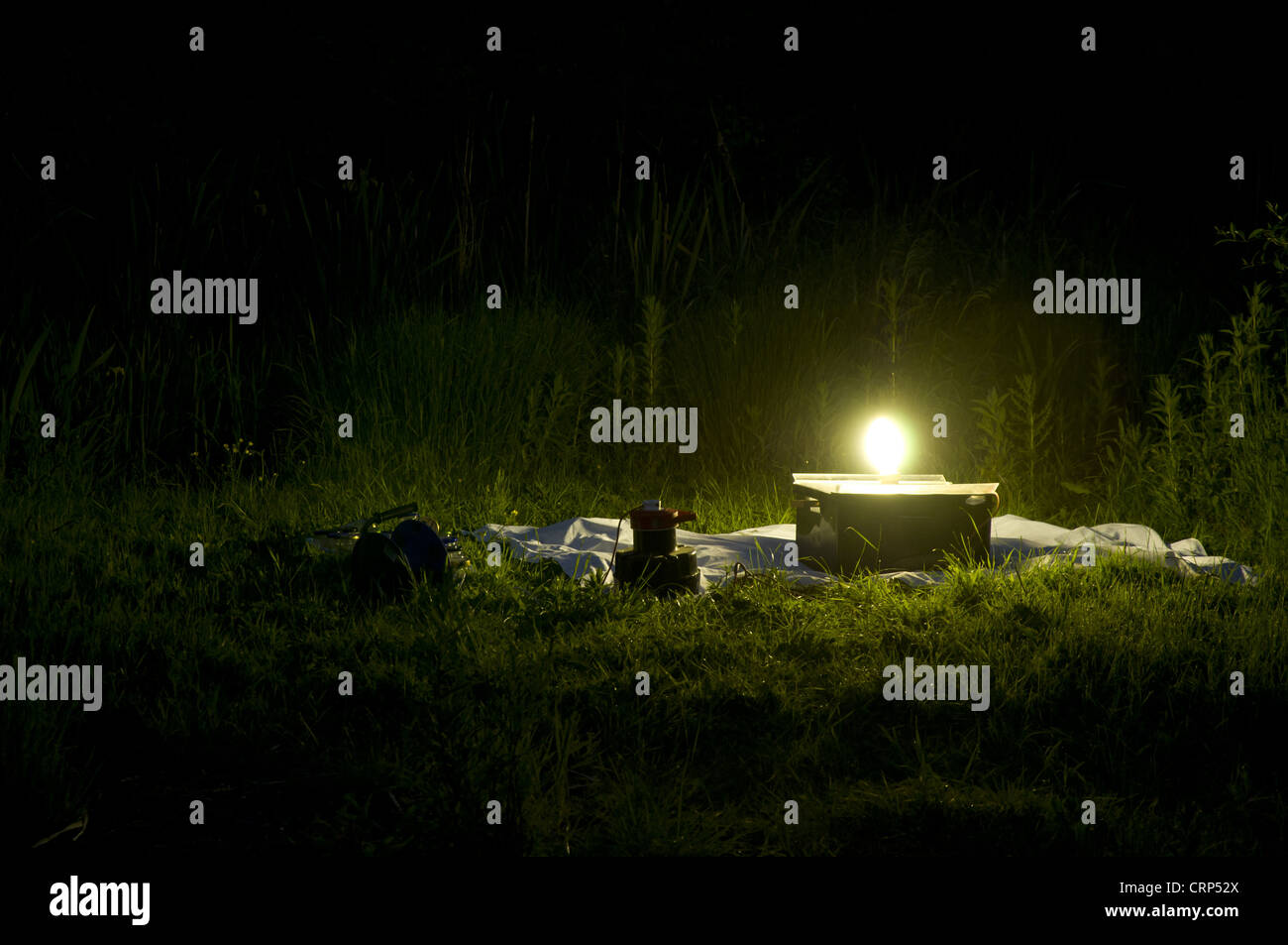 Mercury vapour moth trap on white sheet amongst low vegetation at night ...