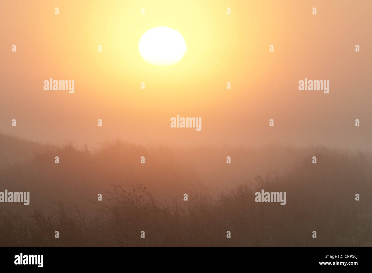 Sunrise over coastal grazing marsh, Elmley Marshes RSPB Reserve, North ...