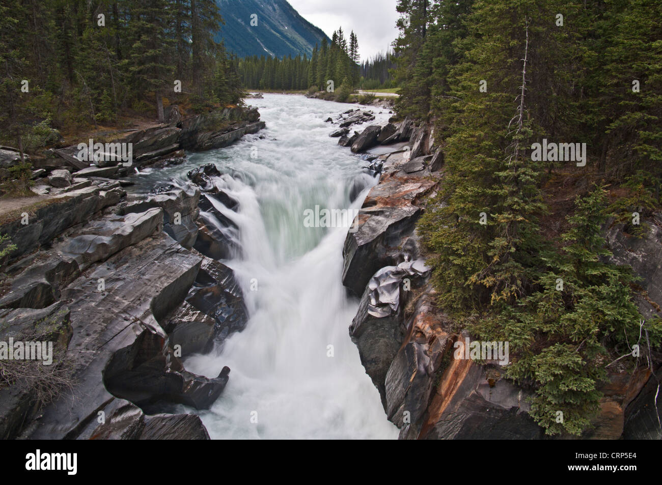 NUMA FALLS, VERMILLION RIVER, KOOTENAY NATIONAL PARK, BRITISH COLUMBIA ...