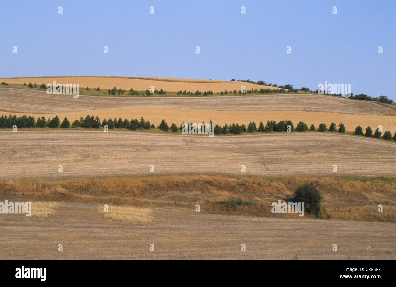 Strip cropping hi-res stock photography and images - Alamy