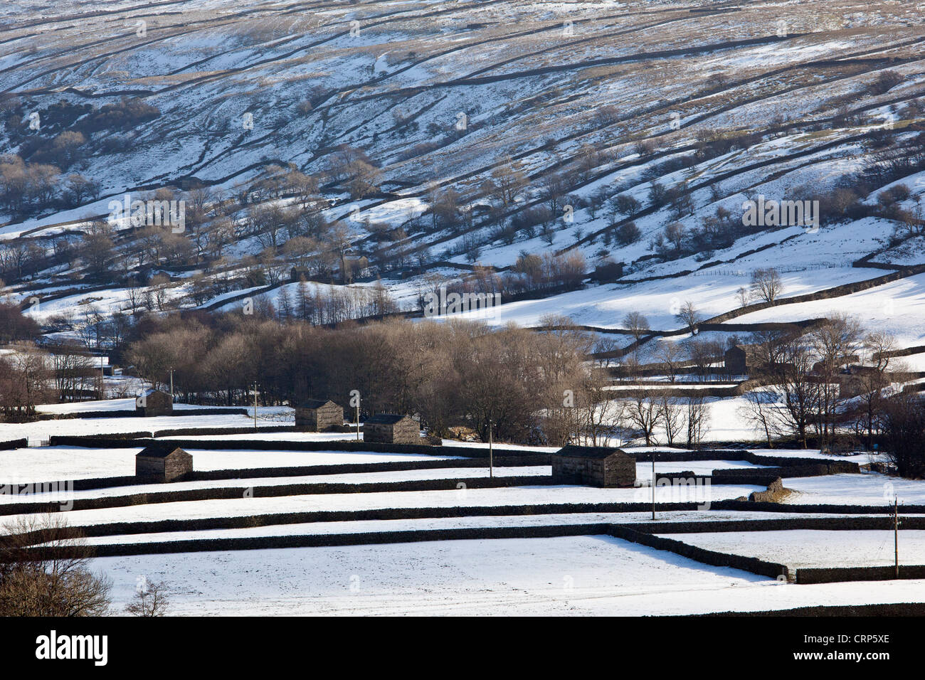 Snow covering the fields and hillside in Upper Swaledale during winter ...