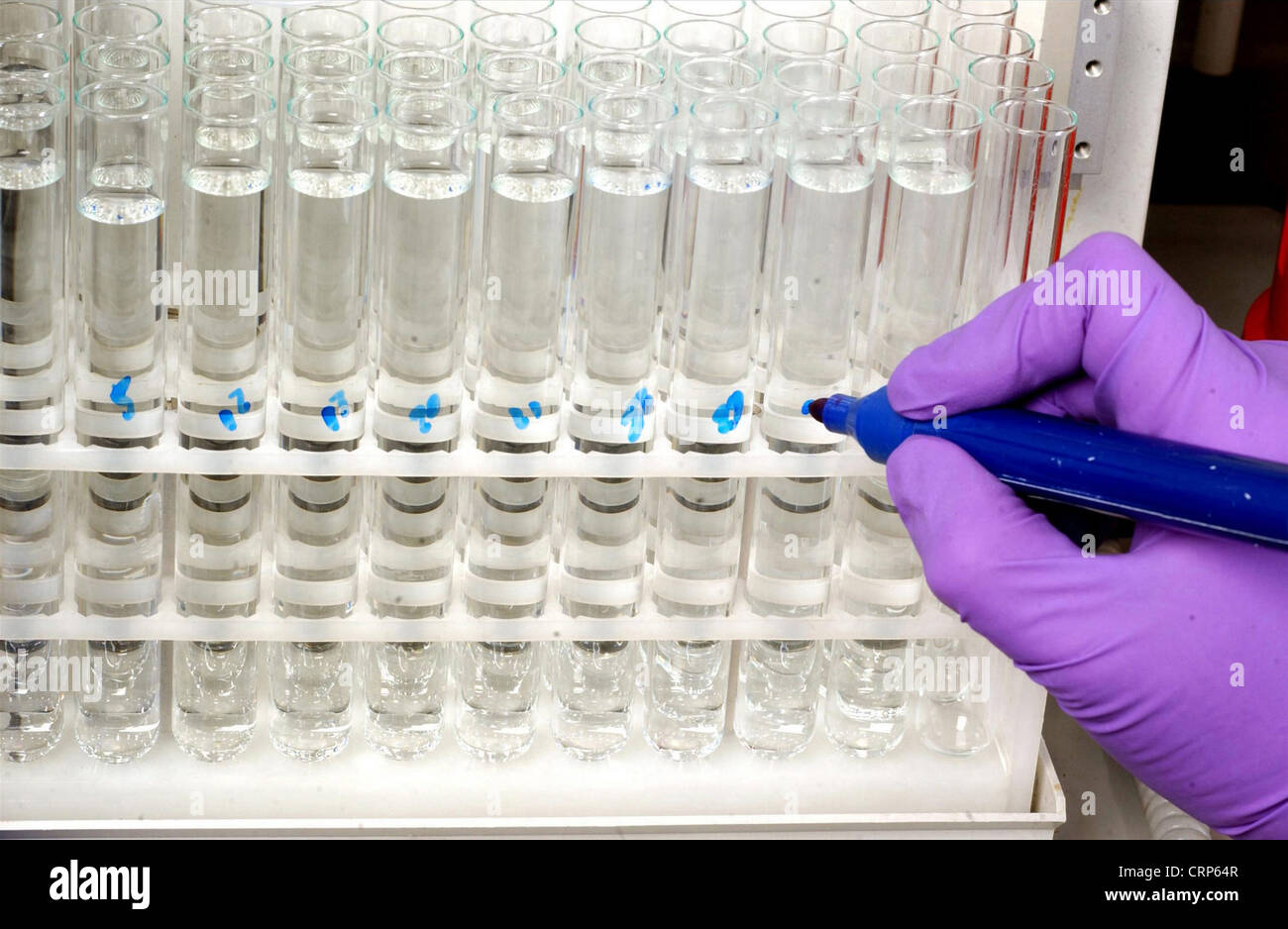Labelling test tubes Stock Photo - Alamy