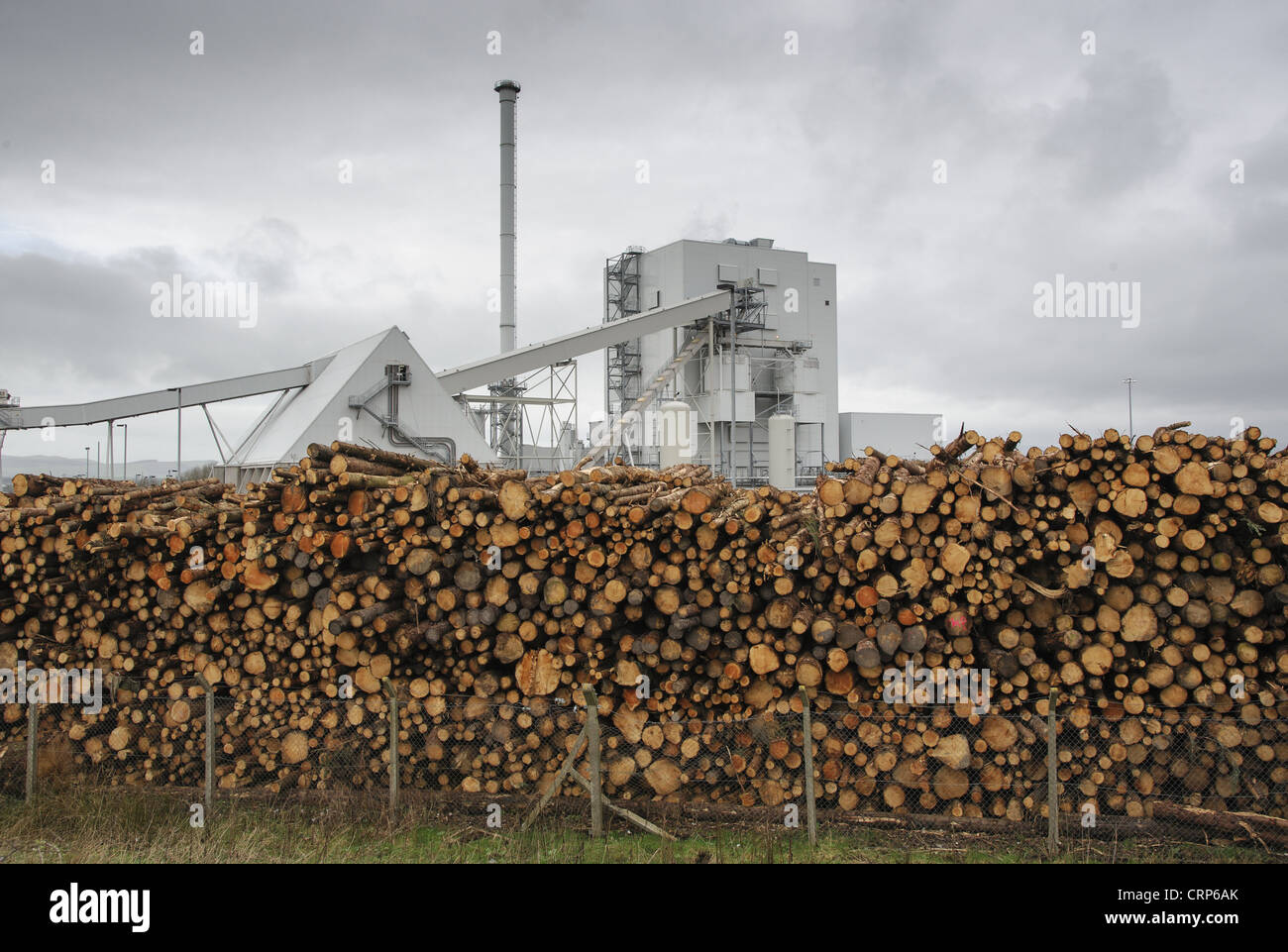 Biomass powerstation with stack of timber, largest biomass plant in ...