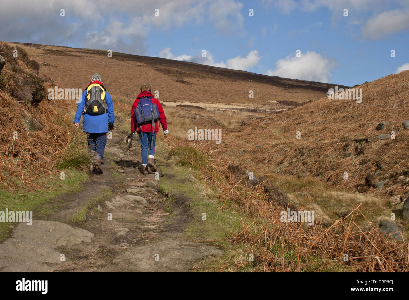 Two ramblers, walking on eroded path in upland habitat, Derwent Valley ...