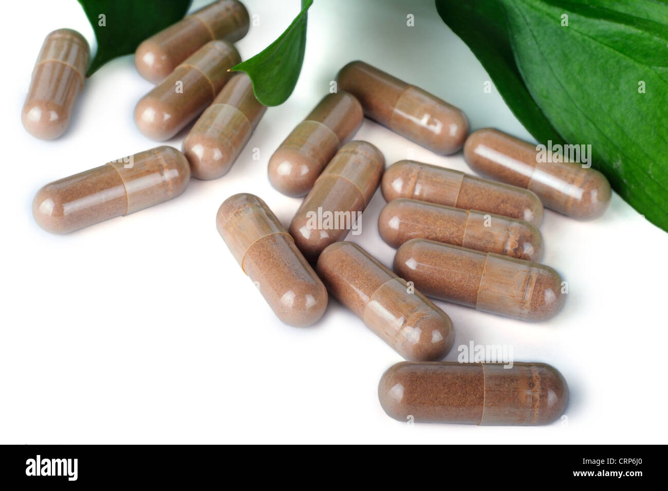 A lot of brown capsules on white background Stock Photo - Alamy