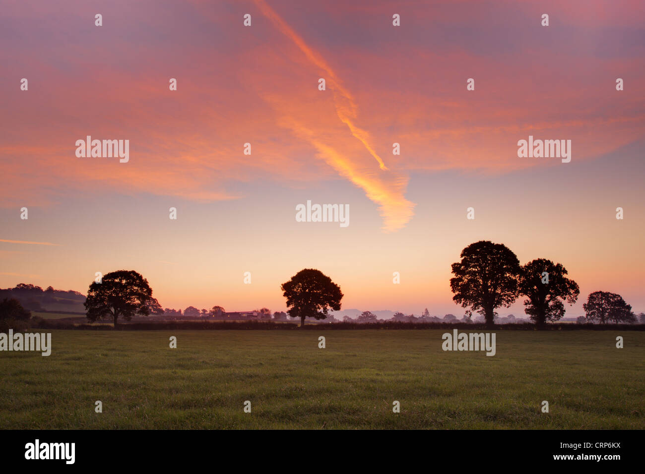 Fields and pasture land hi-res stock photography and images - Alamy