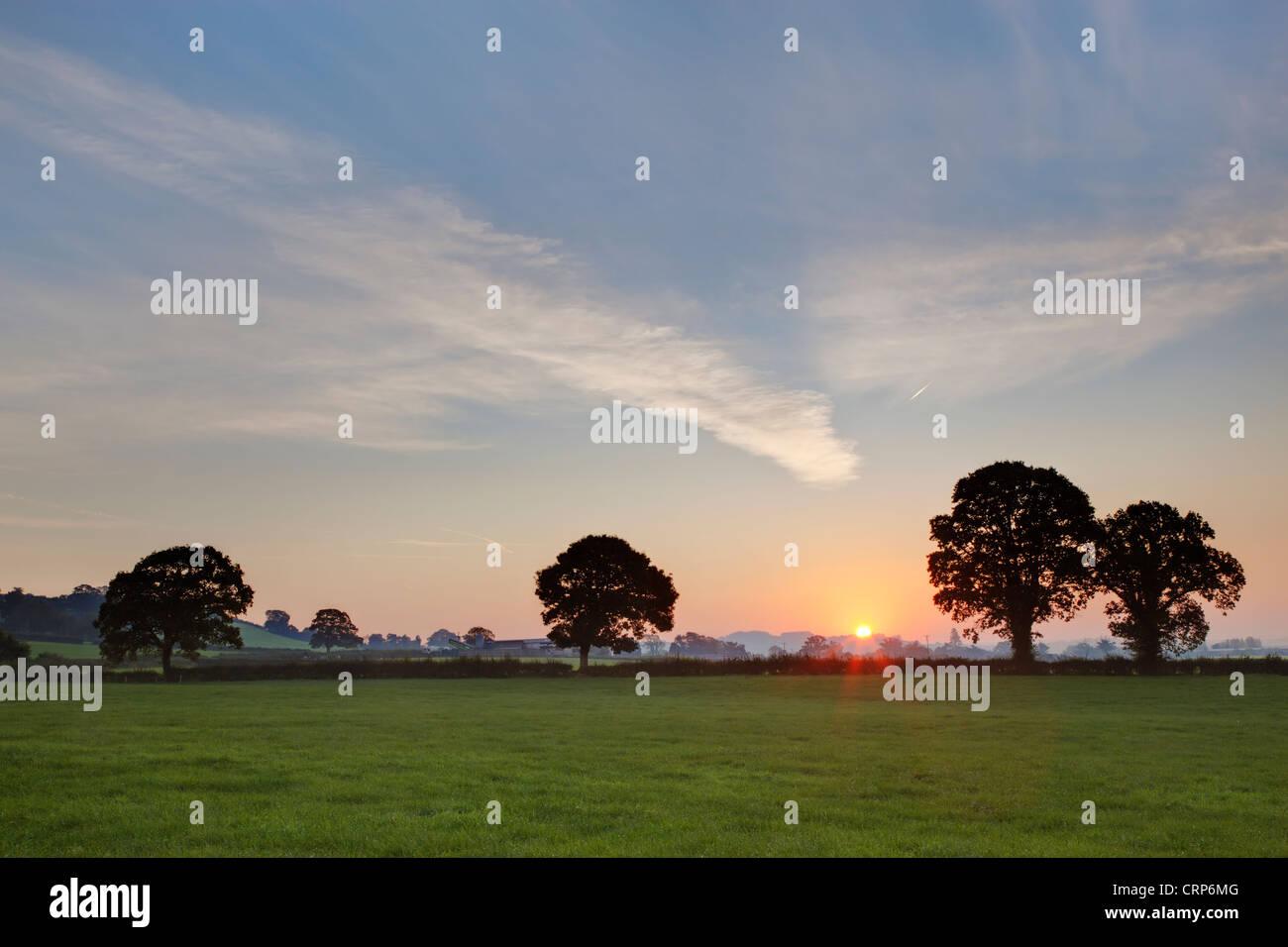Sunrise over agricultural pasture land Stock Photo - Alamy