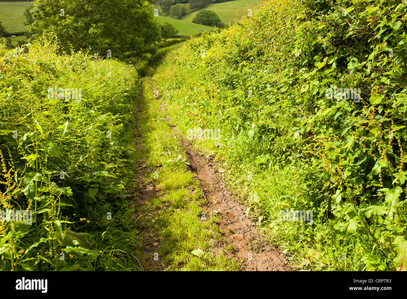 Bottom lane hi-res stock photography and images - Alamy