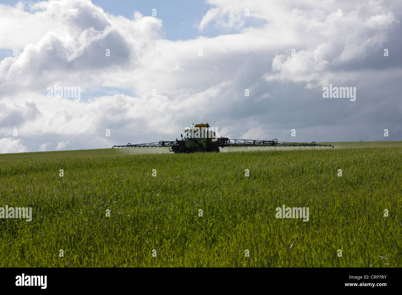 Tractor spraying crops in a field Stock Photo - Alamy