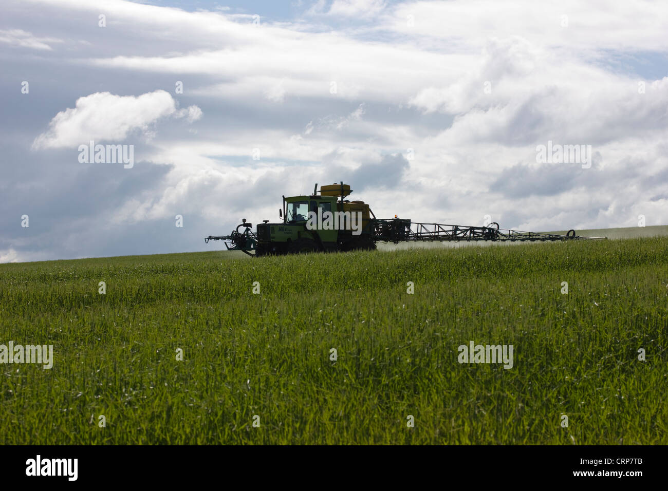 Tractor spraying crops in a field Stock Photo - Alamy