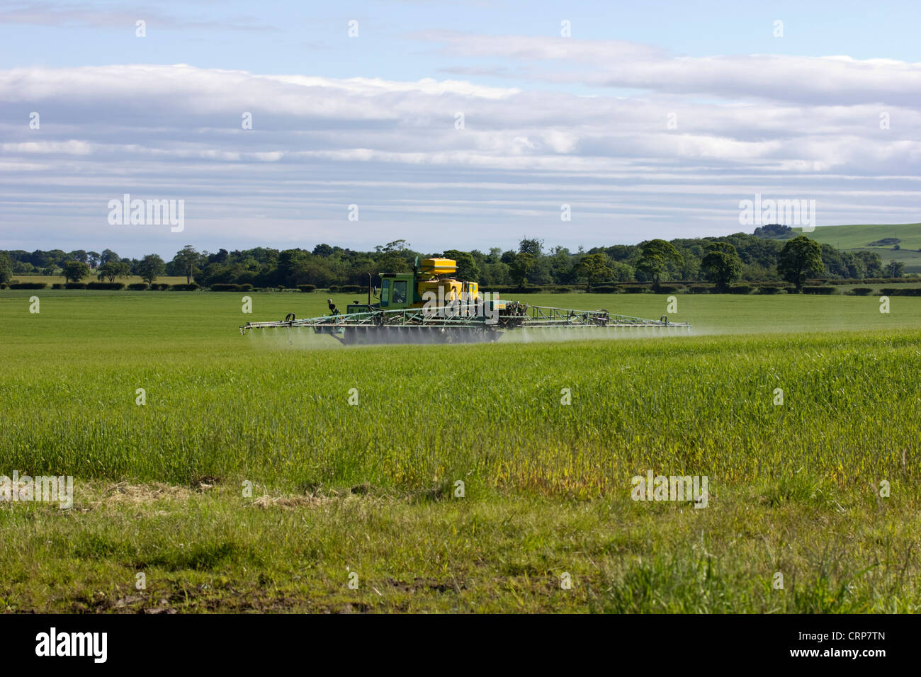 Tractor spraying crops in a field Stock Photo - Alamy