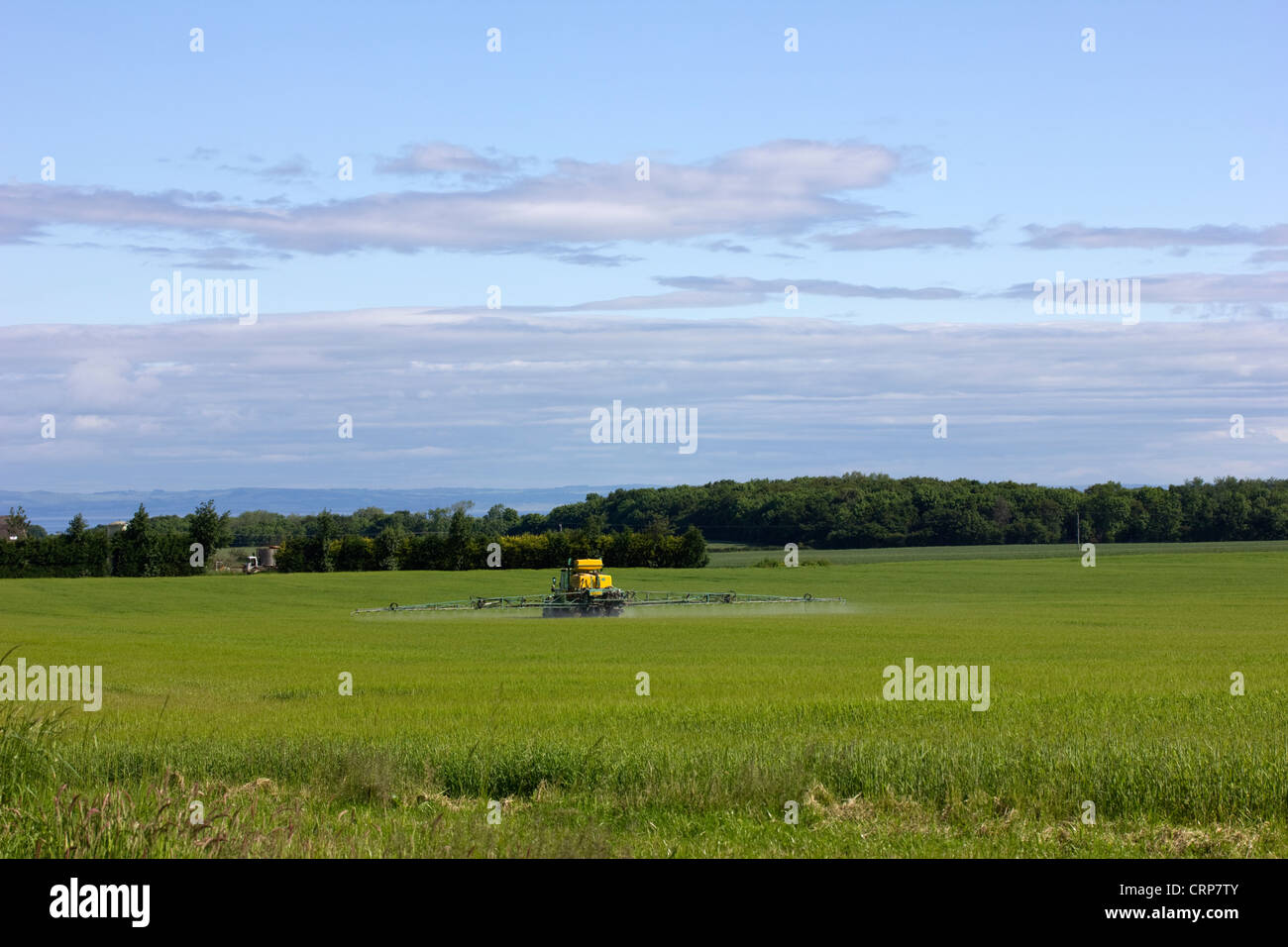 Tractor spraying crops in a field Stock Photo - Alamy