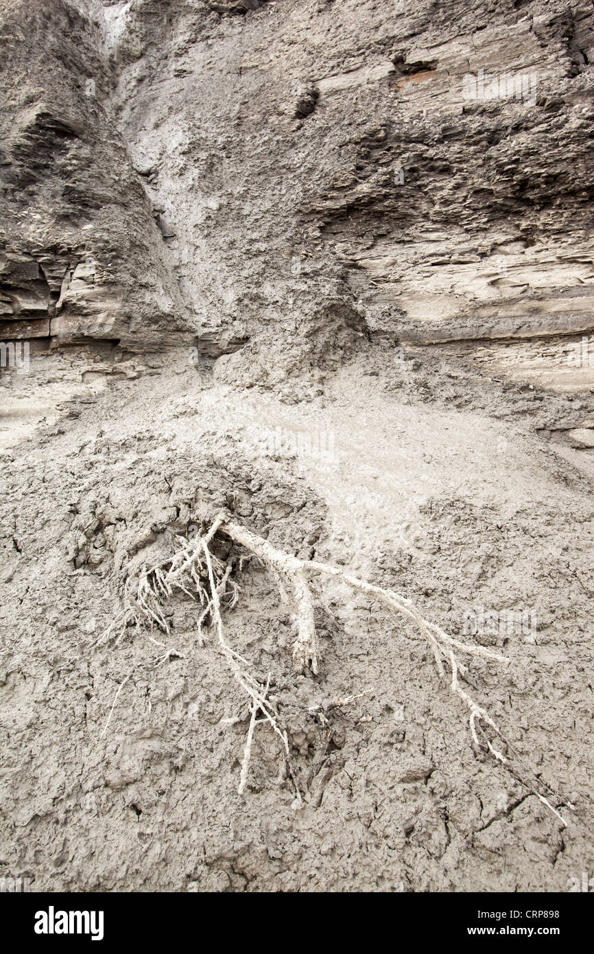 A landslip at Charmouth. This section of the Jurassic Coast has always ...