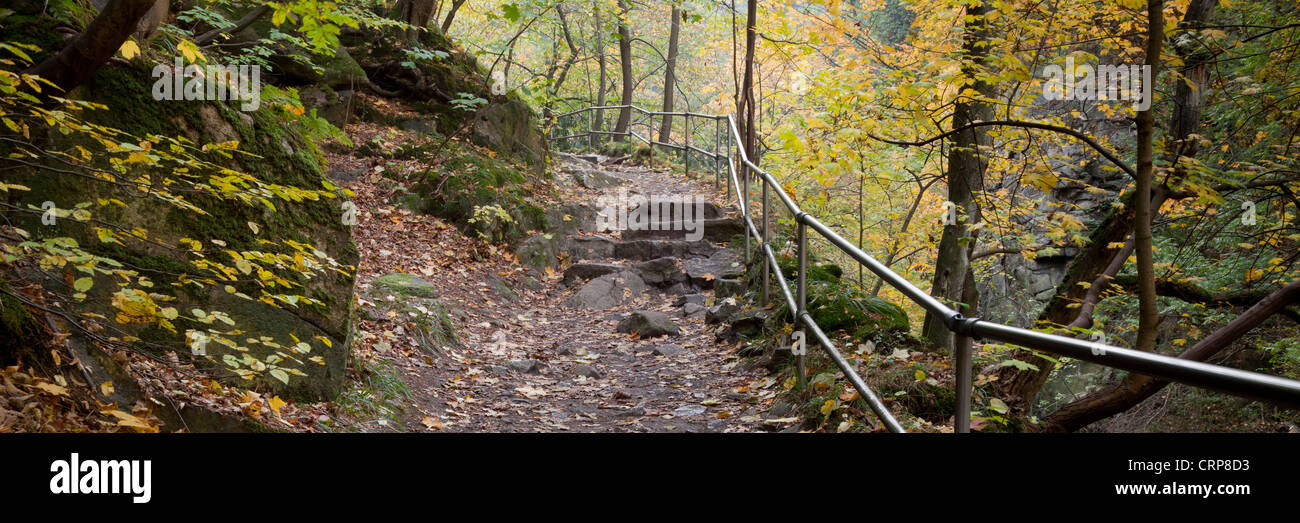 Goetheweg trail in the Bode Gorge Nature Reserve, Thale, Harz, Saxony ...