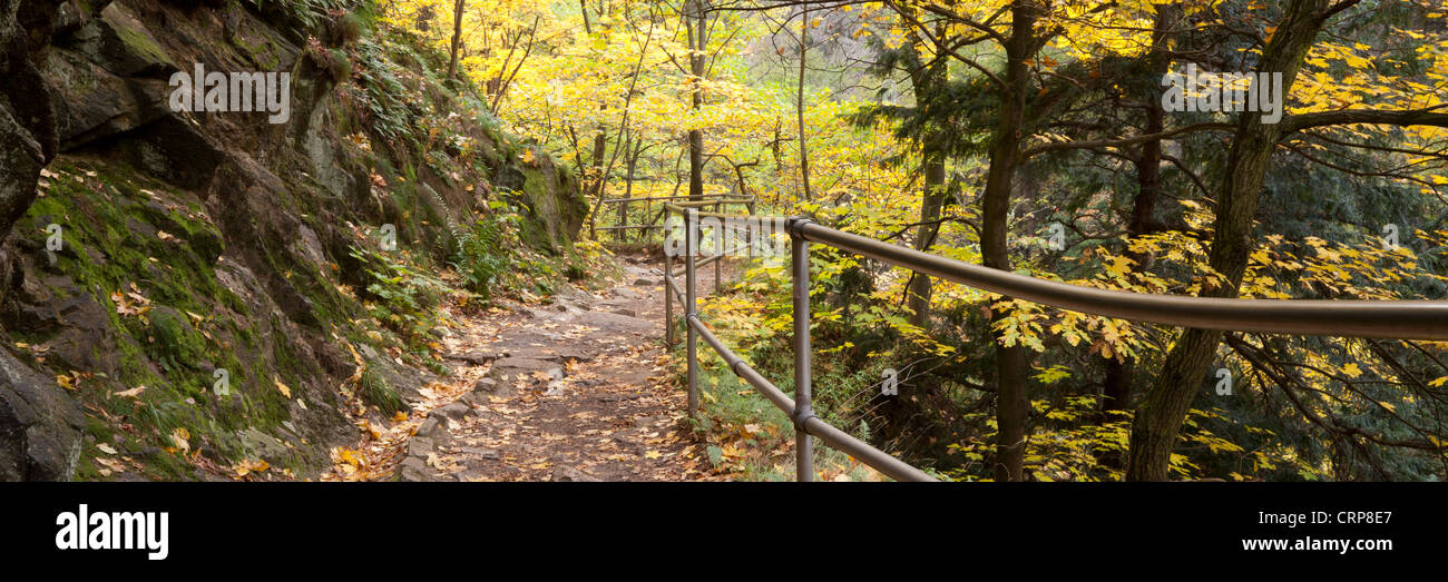 Goetheweg trail in the Bode Gorge Nature Reserve, Thale, Harz, Saxony ...