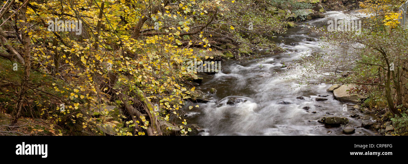 Bode river in Bode Gorge Nature Reserve, Thale, Harz, Saxony-Anhalt ...