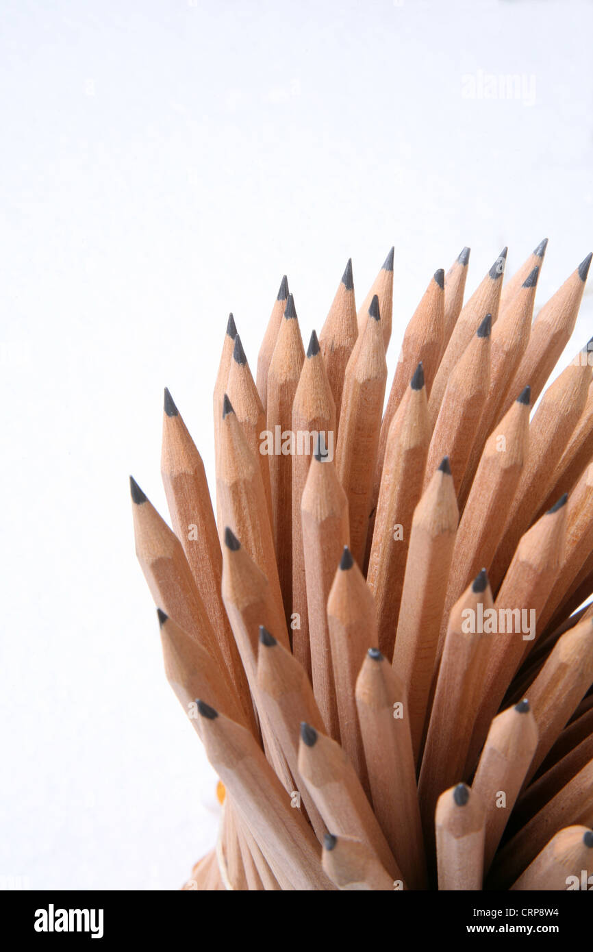 Bunch of pencils isolated on white Stock Photo - Alamy