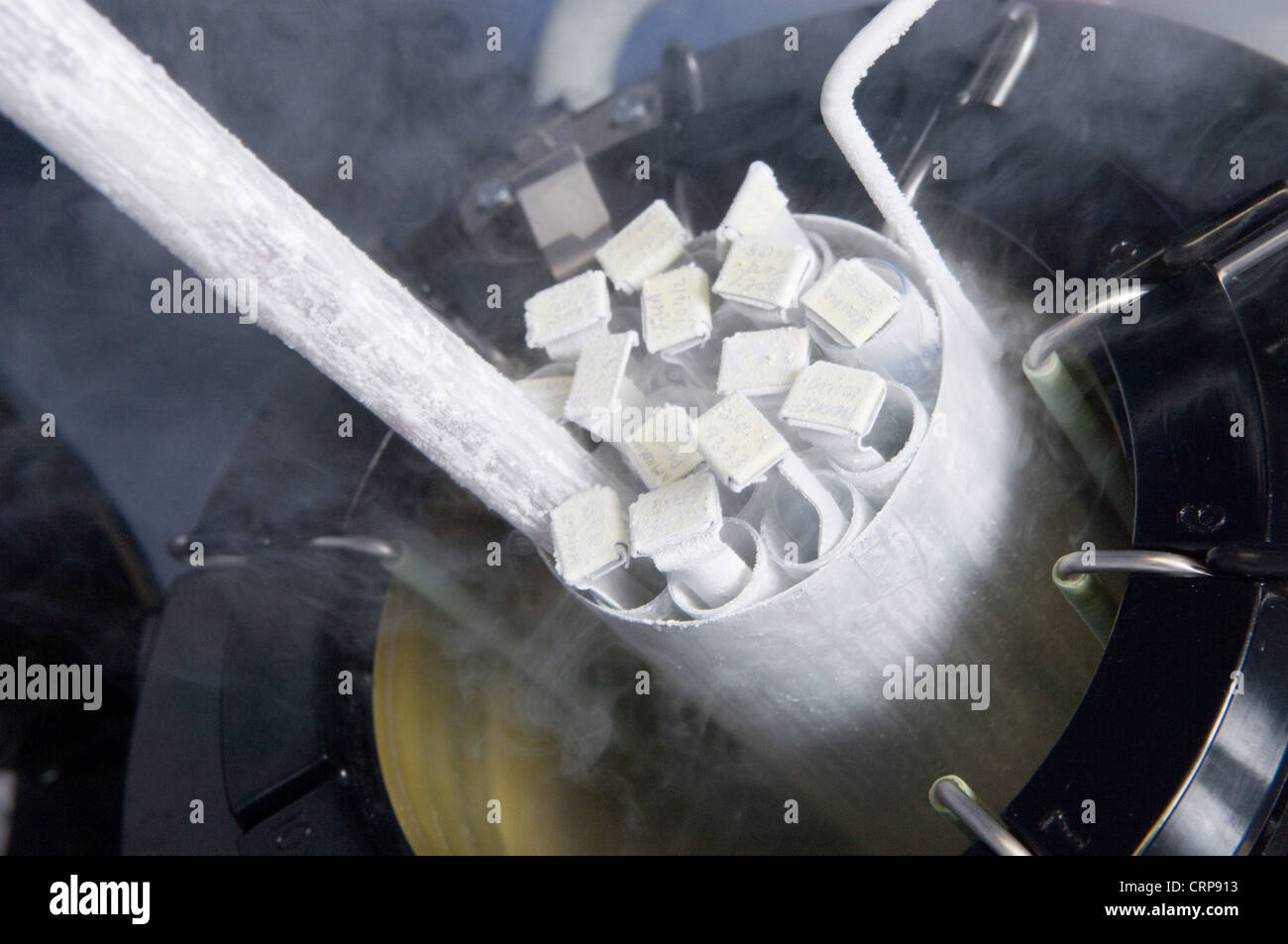 Fertilised embryos are stored in liquid nitrogen filled tanks to keep ...