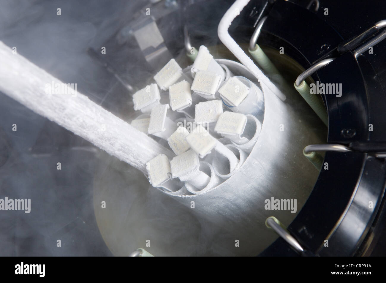 Fertilised embryos are stored in liquid nitrogen filled tanks to keep ...