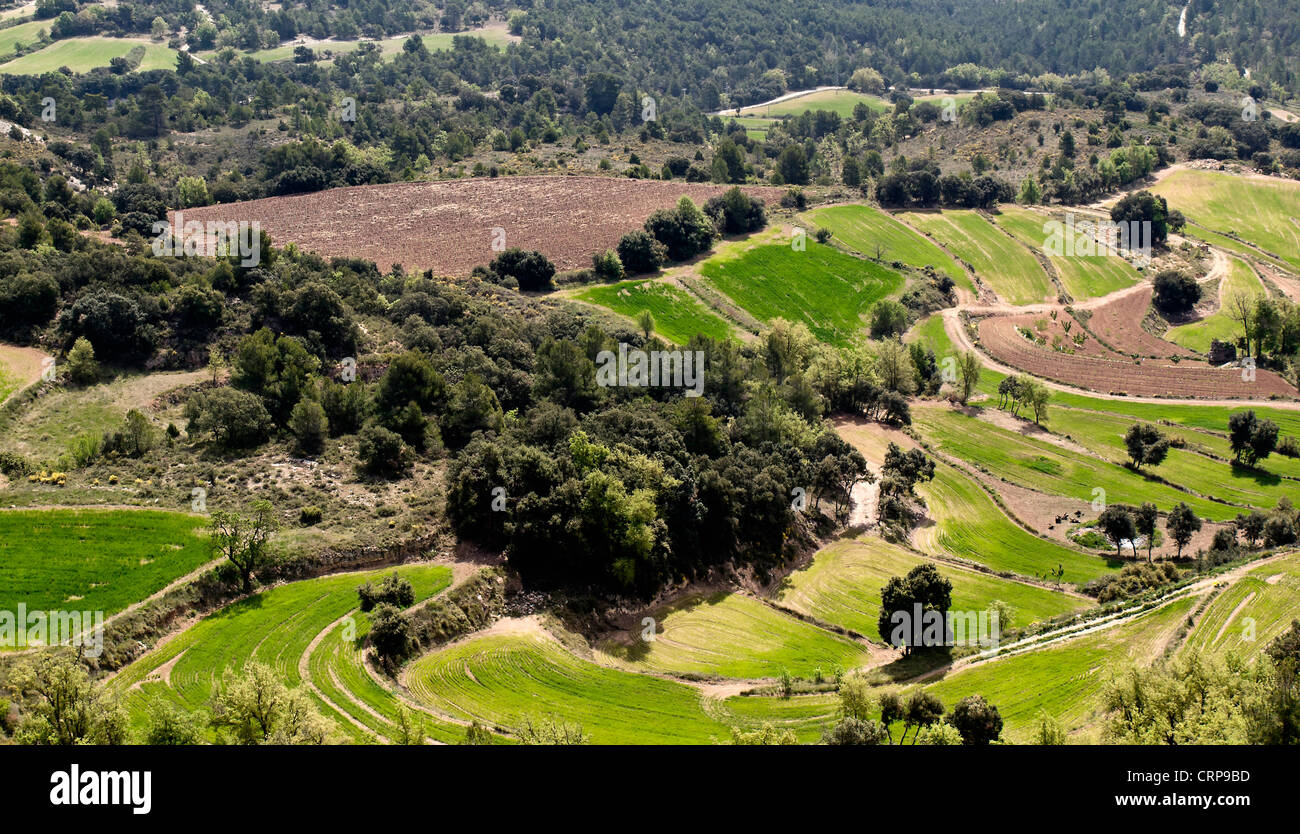 fields in priorat area, Catalonia Stock Photo - Alamy
