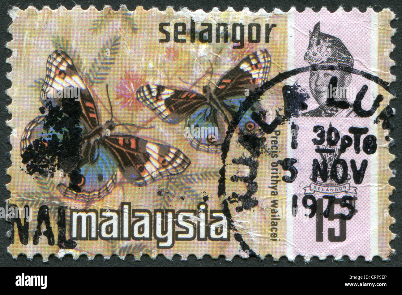 Postage stamps printed in Malaysia, is shown Butterfly Blue Pansy ...